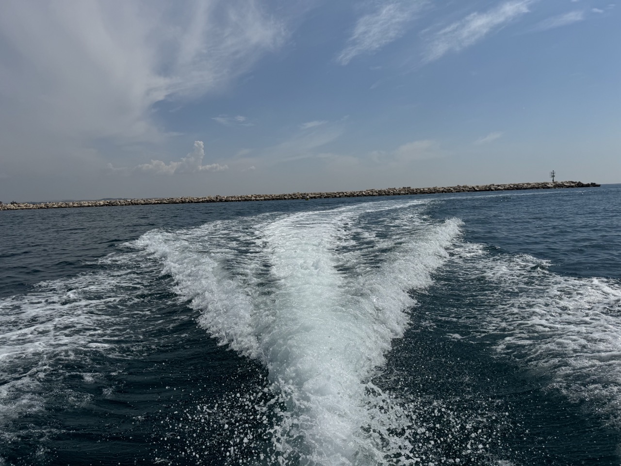 Record demand for container transport in 2024 - HZ CONTAINERS.com