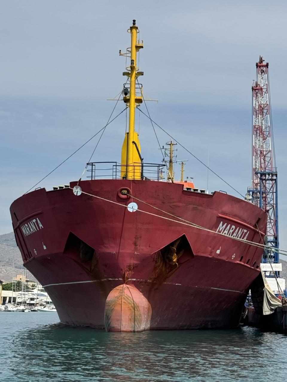 Artificial intelligence is revolutionizing container shipping - HZ ...