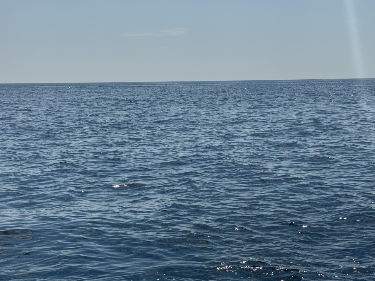 Veer building revolutionary ships: the first emission-free vessels on ...