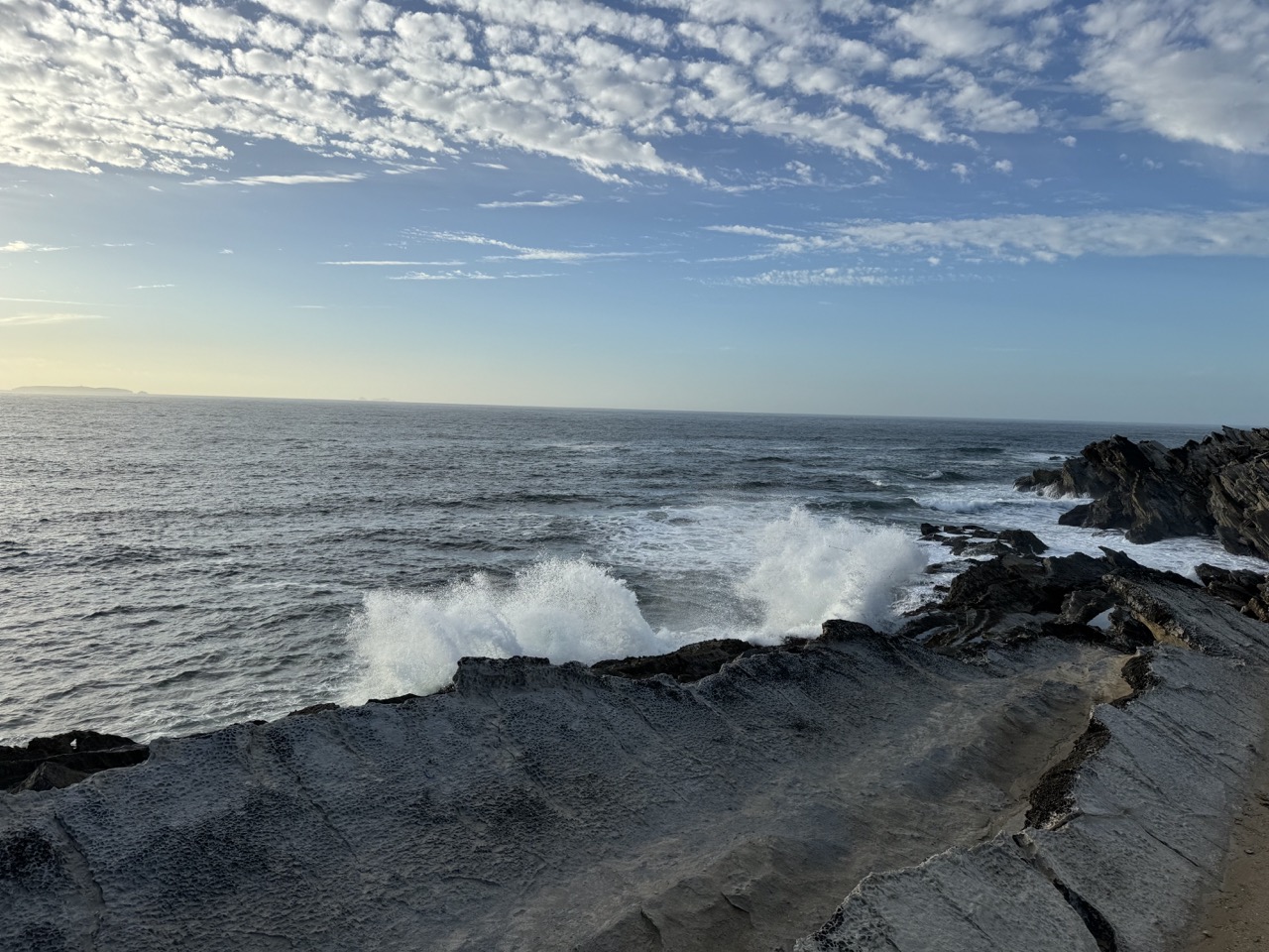 How many shipping containers fall into the sea each year? - HZ ...